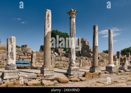 Bas-relief of Artemis in columns of collonnaded street ruins of the ...