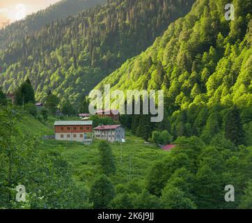 Ayder Plateau, Rize, Turkey.The Ayder Valley lies between Rize and ...