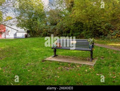 Woodland landscape scene at Oakenshaw Spinney, Redditch, during autumn ...