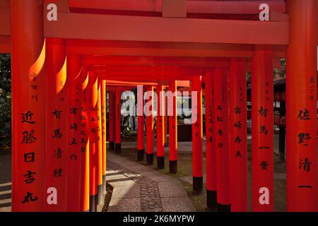 Torii gates Toyosaka Inari Shrine Shibuya Tokyo Japan Stock Photo - Alamy