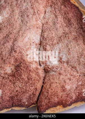 Broken rock of white quartz sandstone with iron oxide Stock Photo - Alamy