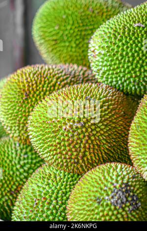 Closeup rough texture of green jackfruit skin. Natural tropical fruit ...