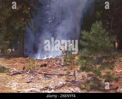Photograph - Operation Fire Fly. Photograph - Operation Fire Fly ...