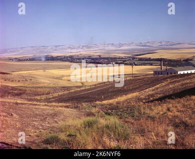 Photograph - Operation Fire Fly. Photograph - Operation Fire Fly ...