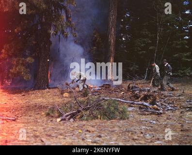 Photograph - Operation Fire Fly. Photograph - Operation Fire Fly ...