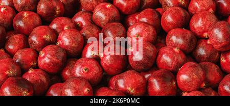 Pomegranate garnet fruit flower. Fresh garnet flower on foliage ...