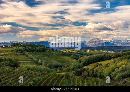 The sun goes down over the vineyards of Collio, Friuli Venezia Giulia ...