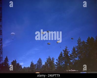 Photograph - Operation Fire Fly. Photograph - Operation Fire Fly ...