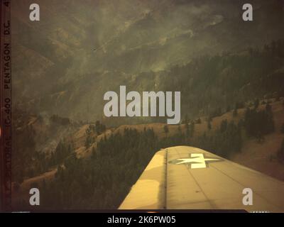 Photograph - Operation Fire Fly. Photograph - Operation Fire Fly ...