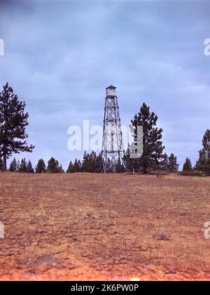 Photograph - Operation Fire Fly. Photograph - Operation Fire Fly ...