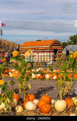 Totton, Hampshire, UK. 15th October 2022. Thousands visit Sunnyfields ...