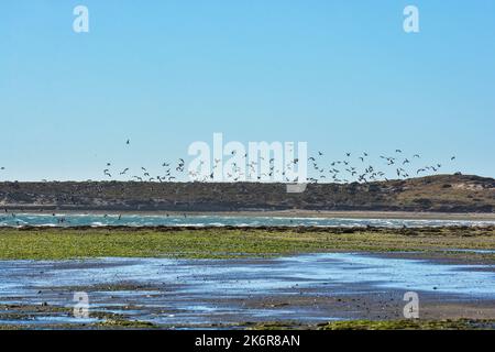 Caleta Valdes landescape, Peninsula Valdes chubut province Patagonia ...