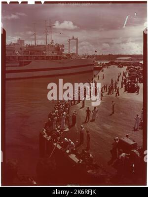 Photograph of Survivors of the USS Indianapolis (CA-35)"Survivors of ...