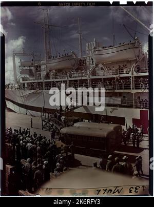 Photograph of Survivors of the USS Indianapolis (CA-35)"Survivors of ...