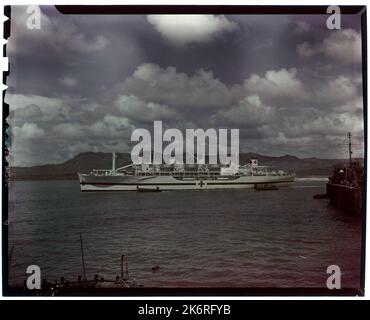 Photograph of Survivors of the USS Indianapolis (CA-35)"Two survivors ...