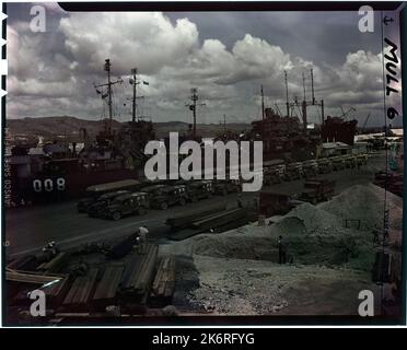 Photograph of Survivors of the USS Indianapolis (CA-35)"Survivors of ...