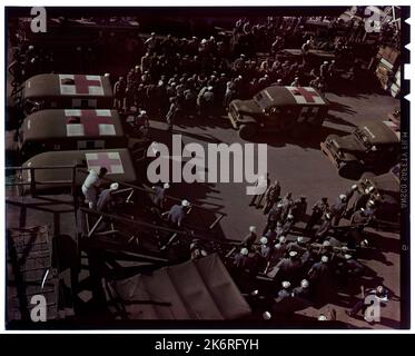 Photograph of Survivors of the USS Indianapolis (CA-35)"Survivors of ...