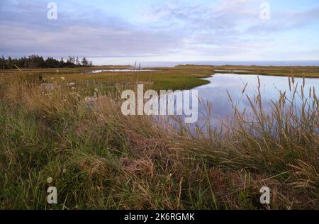 Cape Sable at sunset, Nova Scotia Stock Photo - Alamy