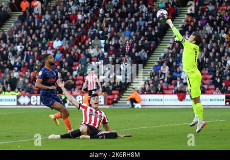 Anel Ahmedhodzic #15 of Sheffield United during the Sky Bet ...