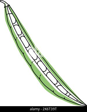 Doodle outline bean with spot. Vector hand-drawn illustration for ...