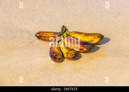 Banana bundle fruits floats in water on beach in Playa del Carmen ...