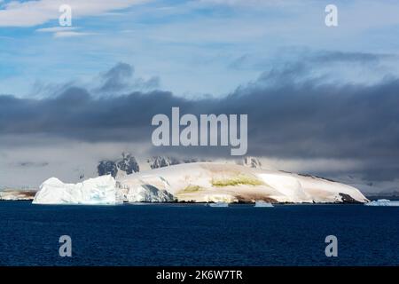 red and green algae staining snow on island in schollaert channel ...