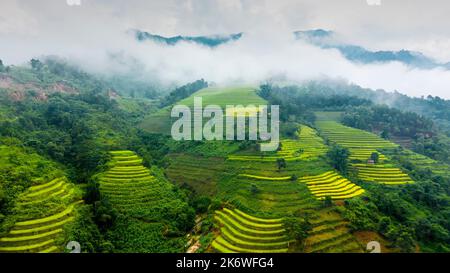 The majestic terraced fields in Ha Giang province, Vietnam. Rice fields ...