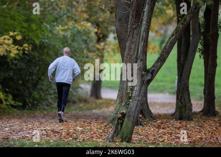 16 October 2022, Lower Saxony, Nörten-Hardenberg: View of the price ...