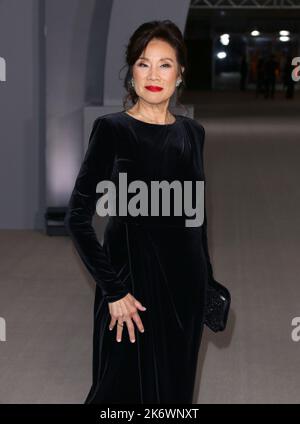 Janet Young arrives at The Second Annual Academy Museum Gala held at ...