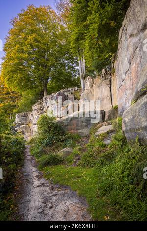 Autumn is coming at Harrisons Rocks on the high weald near Groombridge ...