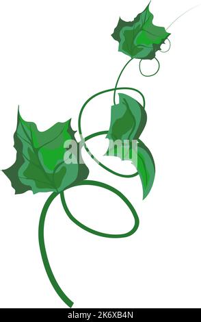 Pumpkin stem sprout cartoon isolated vector illustration on white ...