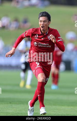 16th October 2022; Campbelltown Sports Stadium, Sydney, NSW, Australia ...