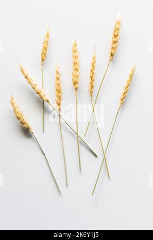 Strands of wheat Stock Photo - Alamy