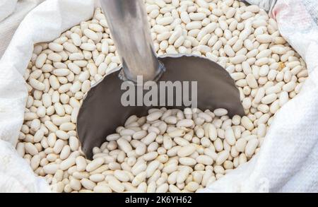 protein rich red beans displayed in bowl isolated against black ...