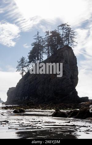 Famous La Push beach from Twilight saga in Washington. Coastal view ...