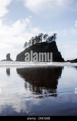 Famous La Push beach from Twilight saga in Washington. Coastal view ...