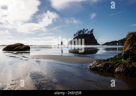 Famous La Push beach from Twilight saga in Washington. Coastal view ...