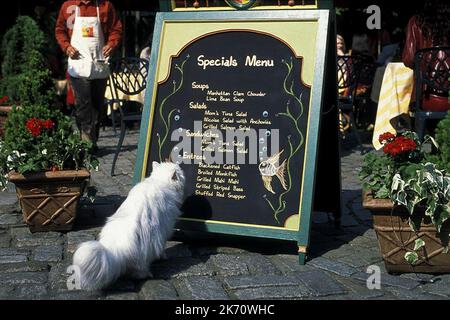 SNOWBELL,STUART, STUART LITTLE 2, 2002 Stock Photo - Alamy