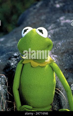 KERMIT, KERMIT'S SWAMP YEARS, 2002 Stock Photo - Alamy