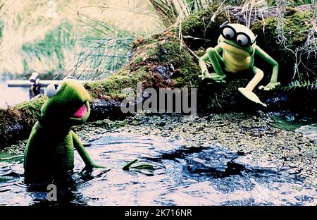 KERMIT,GOGGLES, KERMIT'S SWAMP YEARS, 2002 Stock Photo - Alamy