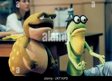 BLOTCH, GOGGLES, KERMIT'S SWAMP YEARS, 2002 Stock Photo - Alamy