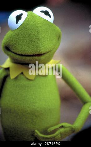 KERMIT, KERMIT'S SWAMP YEARS, 2002 Stock Photo - Alamy