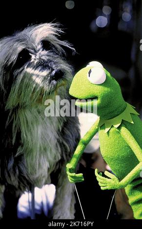 KERMIT, KERMIT'S SWAMP YEARS, 2002 Stock Photo - Alamy