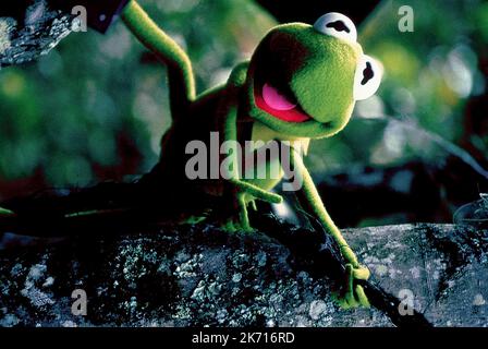 KERMIT, KERMIT'S SWAMP YEARS, 2002 Stock Photo - Alamy