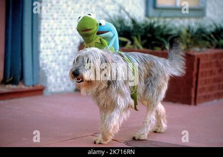PILGRIM,KERMIT,CROAKER, KERMIT'S SWAMP YEARS, 2002 Stock Photo - Alamy
