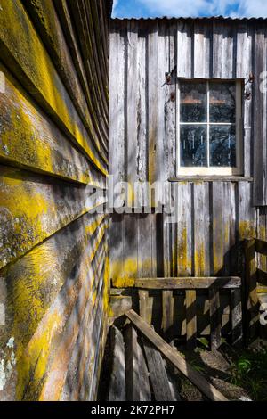 Old shearing shed and stockyard, Ongaonga, Central Hawke's Bay, North ...
