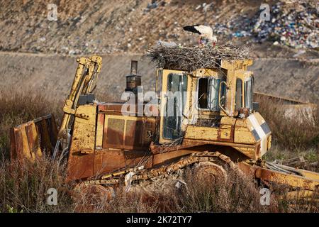 White stork nest in a garbage dump. Environmental pollution. Ecology ...