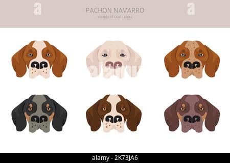 Pachon Navarro clipart. All coat colors set. All dog breeds ...