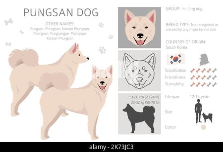 Pungsan dog clipart. All coat colors set. All dog breeds ...
