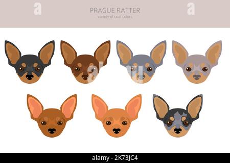 Prague Ratter clipart. All coat colors set. All dog breeds ...
